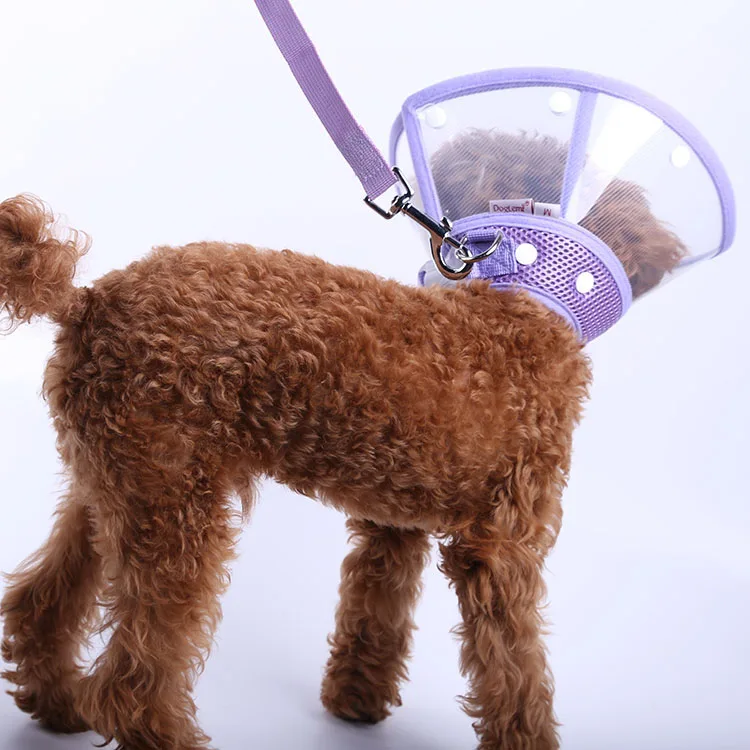 Wholesale Elizabeth Collar Pet Head Protector for Dogs