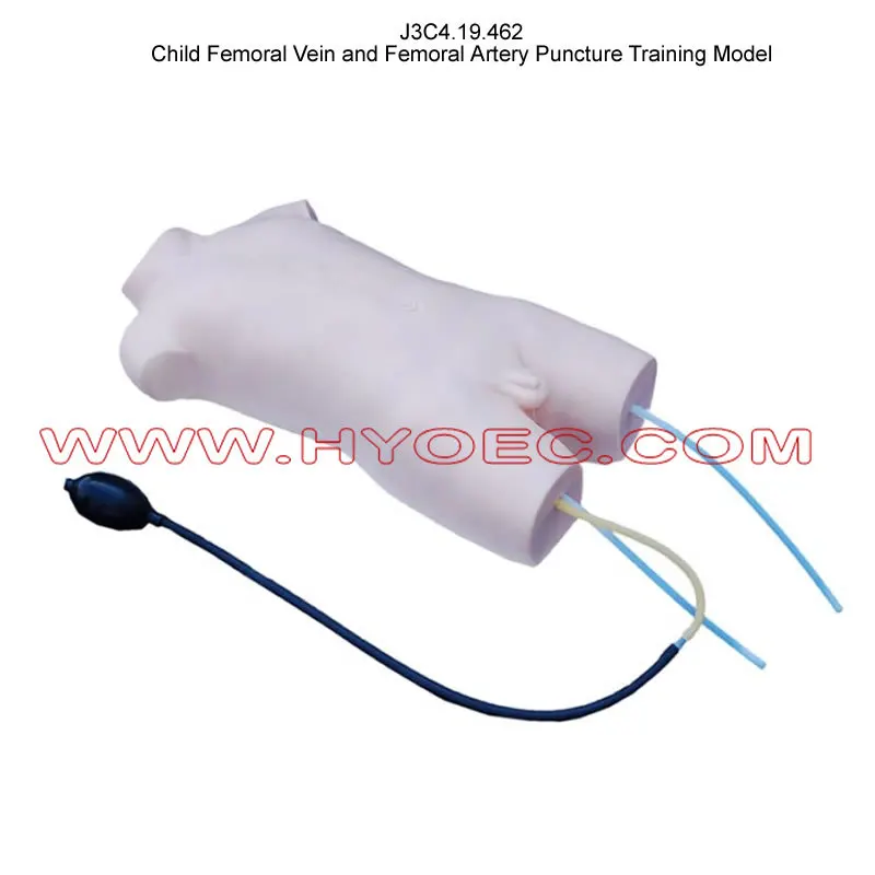 Child Femoral Vein And Femoral Artery Puncture Training Model - Buy ...