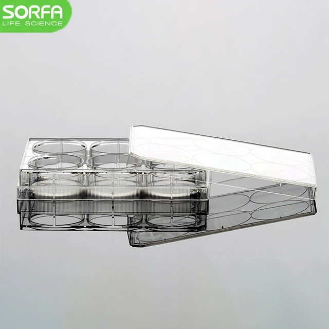 Sorfa Cell Culture Plates - High Transparence PS