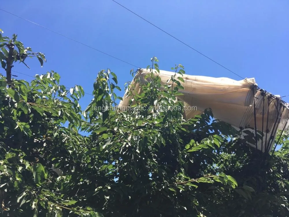 Automated Retractable Orchard Covers - Waterproof Wind & Hail ...