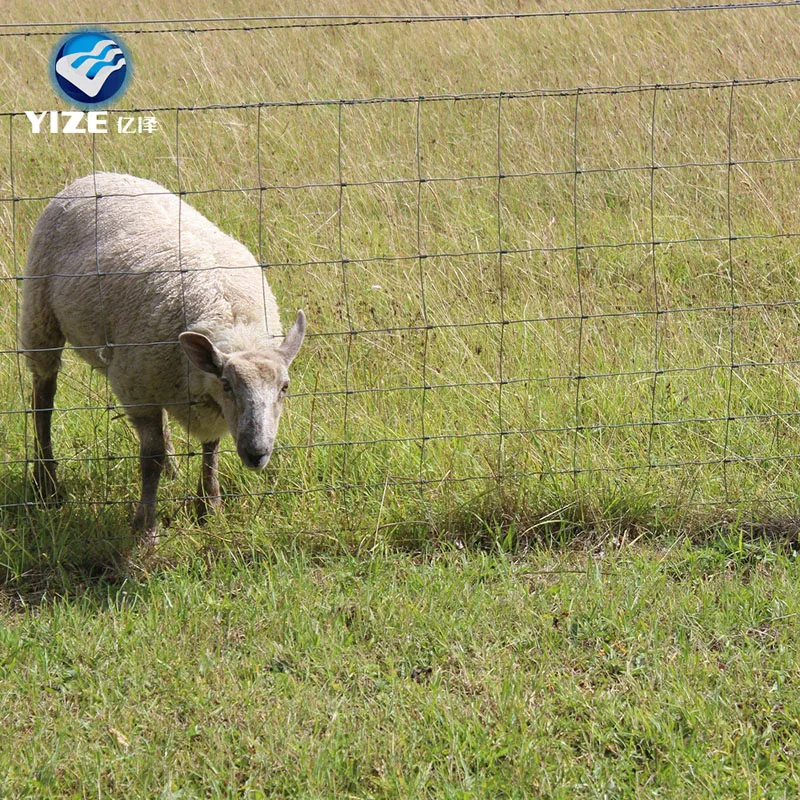 Sheep proof fence with low prices on hot sale| Alibaba.com