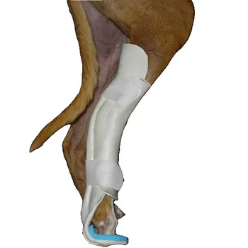 Animal Splint Specially For Dog Leg Splint Thermoplastic Splints - Buy ...