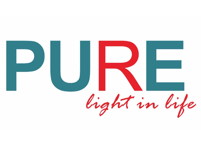 Company Overview - Zhongshan Pure Lighting Manufacturer Ltd.