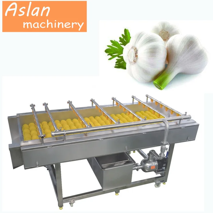 Garlic Cleaning Machine/ginger Washing Machine - Buy Ginger Washing ...