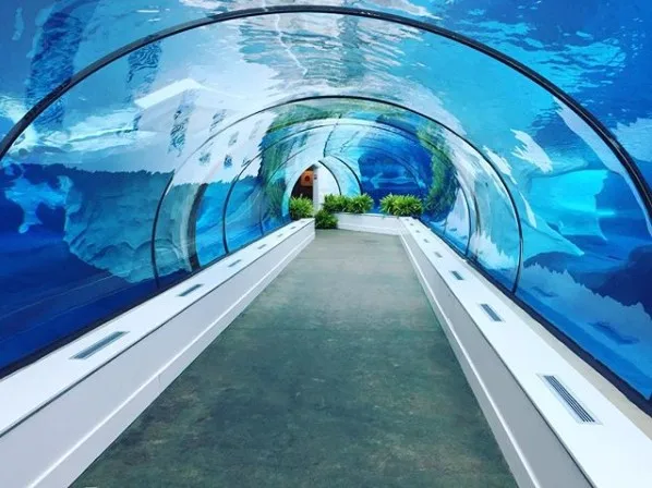 Transparent Acrylic Tunnel for Luxury Pool & Aquarium