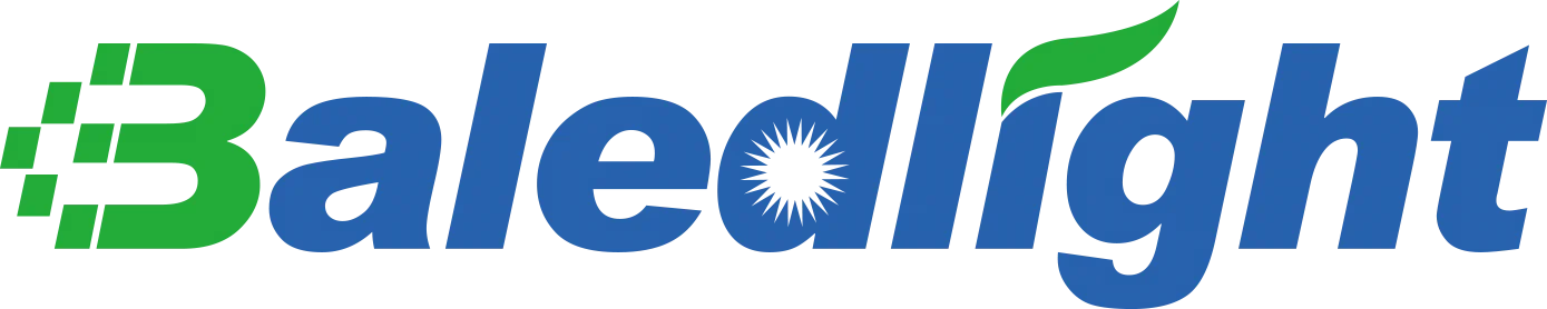 Company Overview - Shenzhen Baledlight Technology Limited