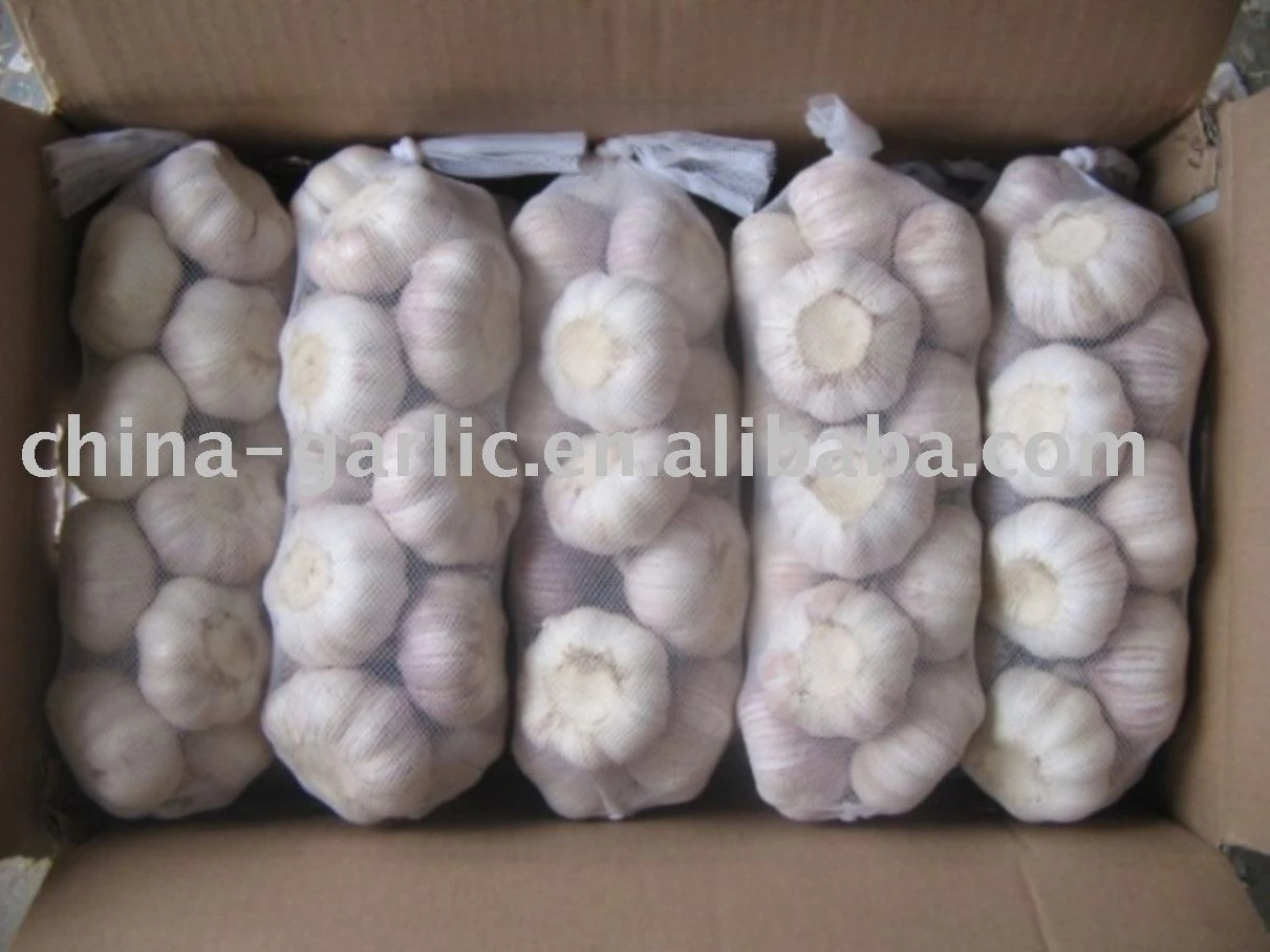 Fresh Garlic 10kg/bag Loosely - Buy Fresh Garlic,Garlic Price,New Crop ...