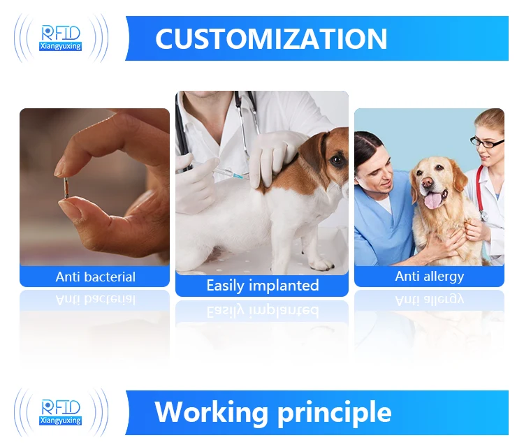 RFID Microchip Passive Integrated Transponder Pit Tag