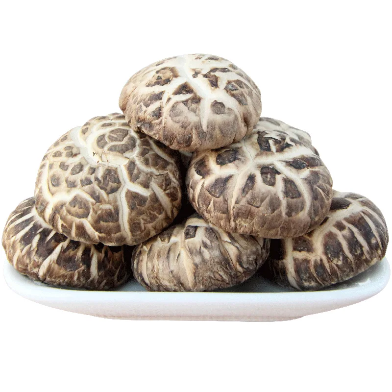 Alibaba.com: Export Flower Shiitake Mushroom Dried From Fresh Raw ...