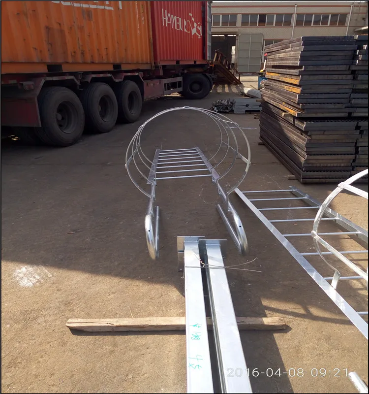 Galvanized Steel Safety Cat Cage Ladder with 2-Year Warranty