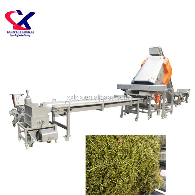 High Efficiency Wine Equipment Grape Stem Remove Machine - Buy Wine ...