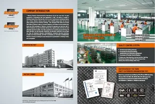 Company Overview - Wenling Import & Export Co., Ltd.
