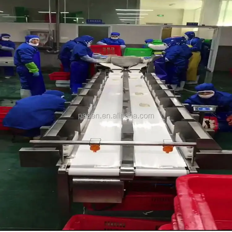 Auto Dynamic Weight Grading Sorting Classifying Machine For Fresh ...