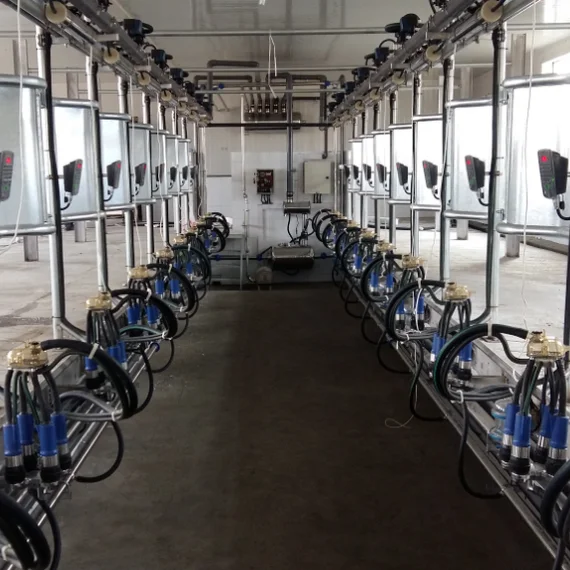 Herring Bone Type Electric Meter Milking Parlor System - Buy Herring ...
