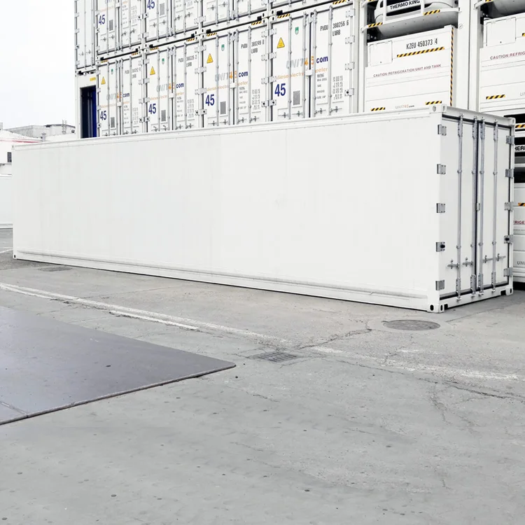 45 Foot Reefer Container with Thermo King, Carrier or Daikin Cooling Unit