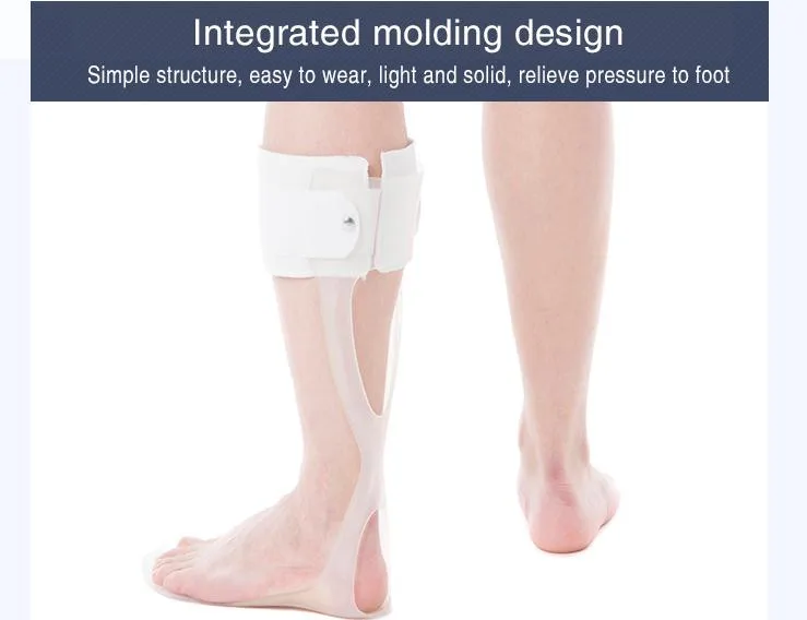 Ankle Foot Drop Splint - Orthopedic Knee Ankle Foot Orthosis