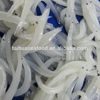 Frozen Whole Silver Fish Different Sizes - Buy Silver Fish,Frozen ...