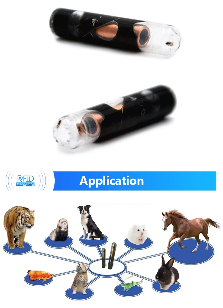 RFID Microchip Passive Integrated Transponder Pit Tag