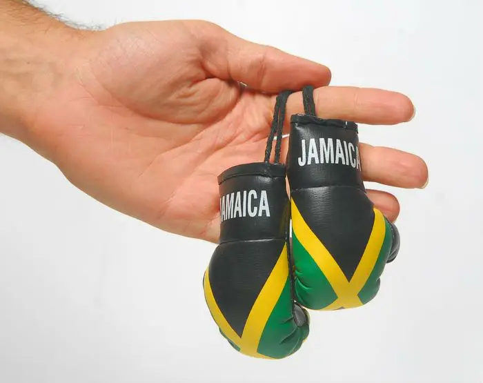 Mini Finger Boxing Gloves | atelier-yuwa.ciao.jp