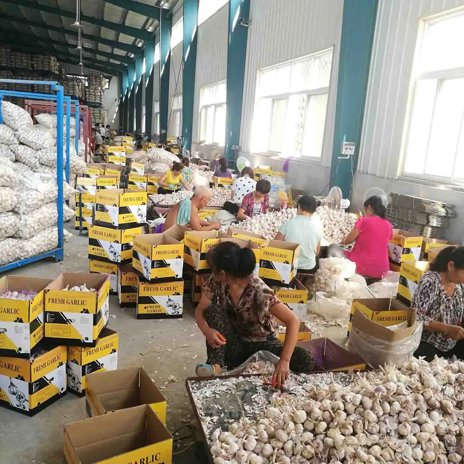 Company Overview - Jinxiang Liming Trading Co., Ltd.