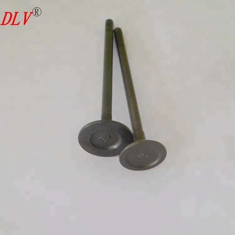 Korean Car Parts - G4KD G4KE Engine Valves for Kia Sonata 2.4