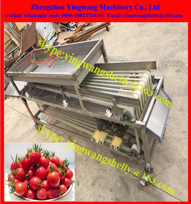 Grader and Sizer Olive Sorting Machine for Sale - High Accuracy