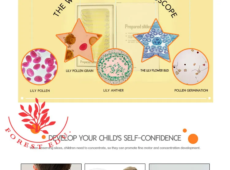 12 Kinds Pollen Slides - Clear Specimens for Biology Lab