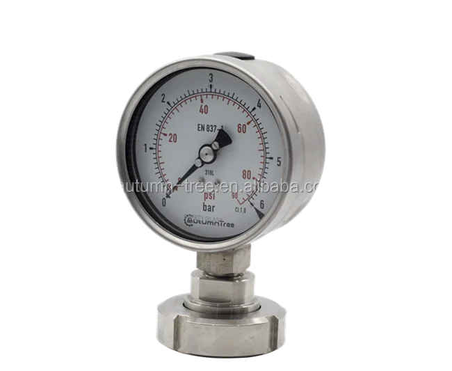 SS316L Sanitary Threaded Connection Diaphragm Seal with Sterile ...