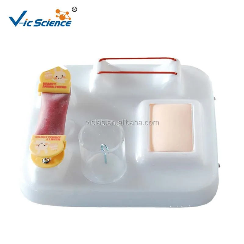 Comprehensive Surgical Skills Training Model Medical Supplies - Buy ...