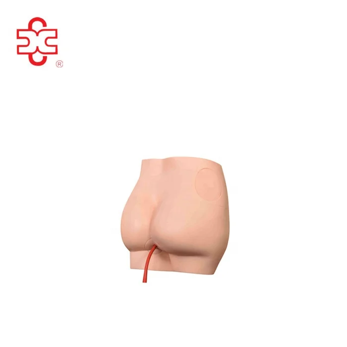 buttock injection teaching training medical simulator model| Alibaba.com