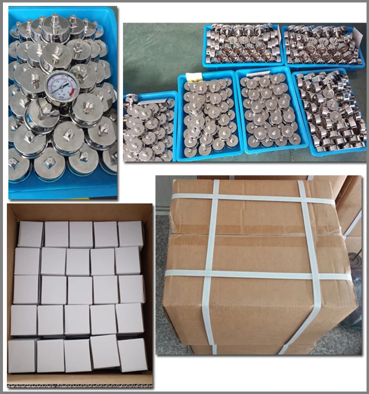 Ytp- Stainless Steel Diaphragm Seal Flange Type Pressure Gauge - Buy Pressure Gauge Diaphragm ...