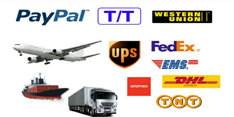 Glossy Inflatable Dolphin Suit Waterproof Inflatable Pvc Bondage ...