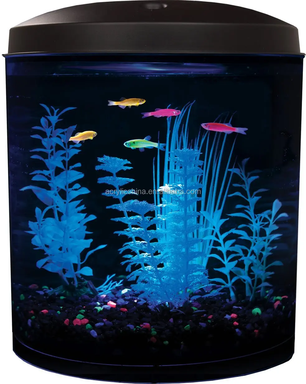Clear Acrylic Fish Tank Desk Cylinder Unique Fish Tank Flower Vase For ...