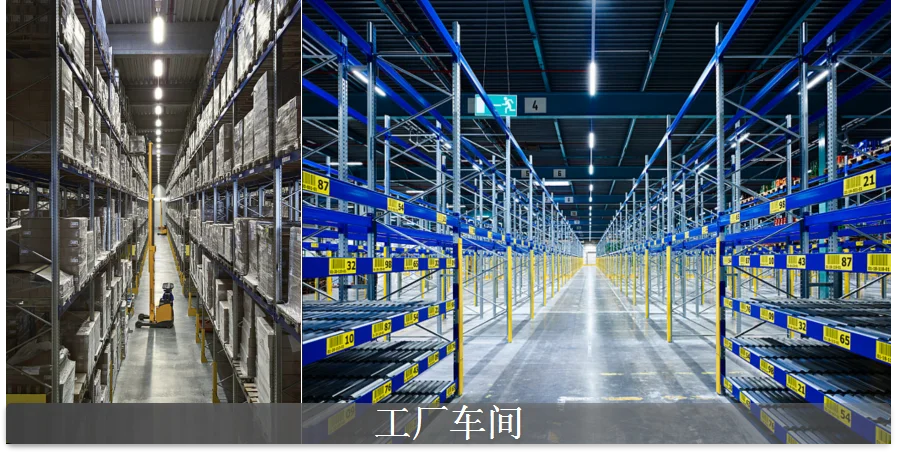 Philips TCW060 C 2xtl-D36w HF 220V - Reliable Tri-Proof Lighting