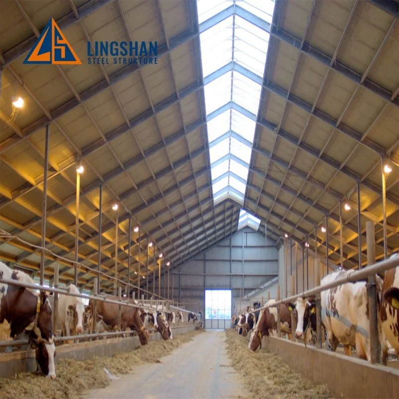 Steel Structure Cow Shed - Durable & Customizable Design