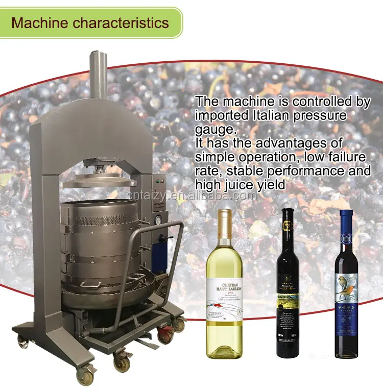 TZ-800 Grape Pressing Machine - Efficient & Durable