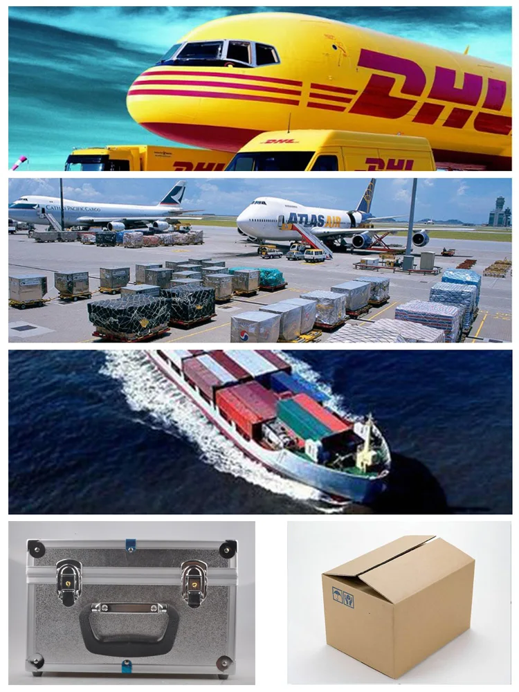 Dog Horse Animal X Ray Machine Pet Portable LCD Medical X-ray Unit ...