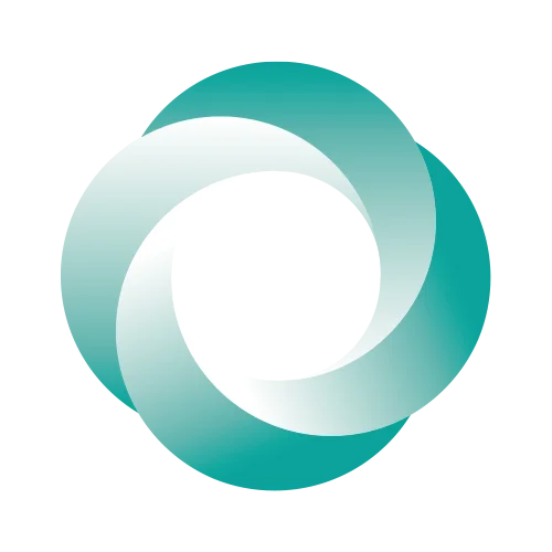 Company Overview - Shanghai Qinxing E-Commerce Co., Ltd.