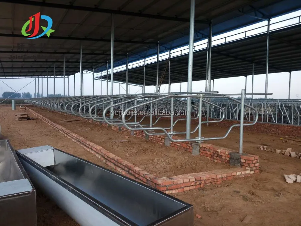 New Flexible Steel Cow Cubicle System Galvanized Free Stall with ...