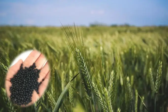 Base Fertilizer High Nitrogen Fertilizer Compound Organic Granular ...