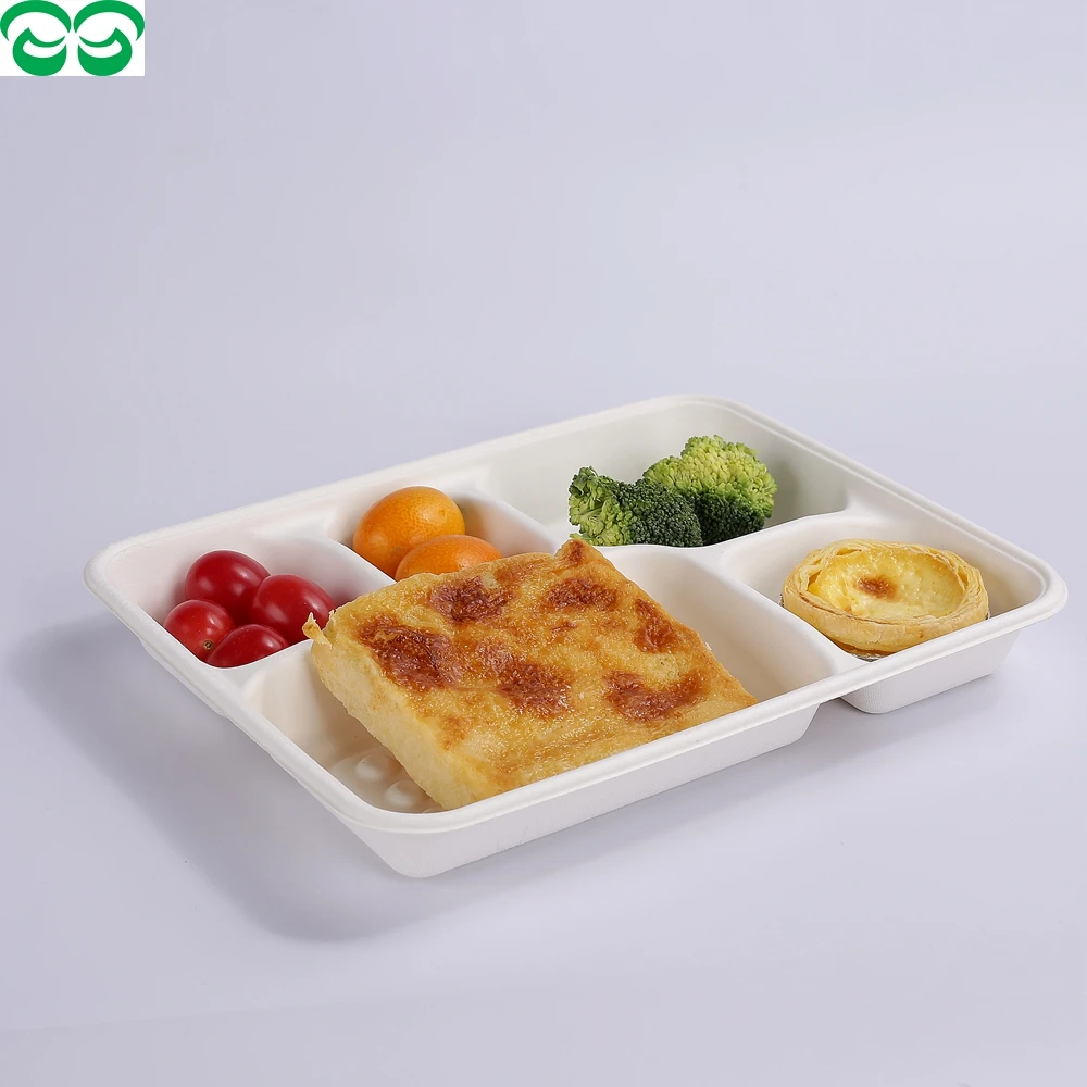 Compostable Pulp Bagasse Trays - Ideal for Hospital Disposables