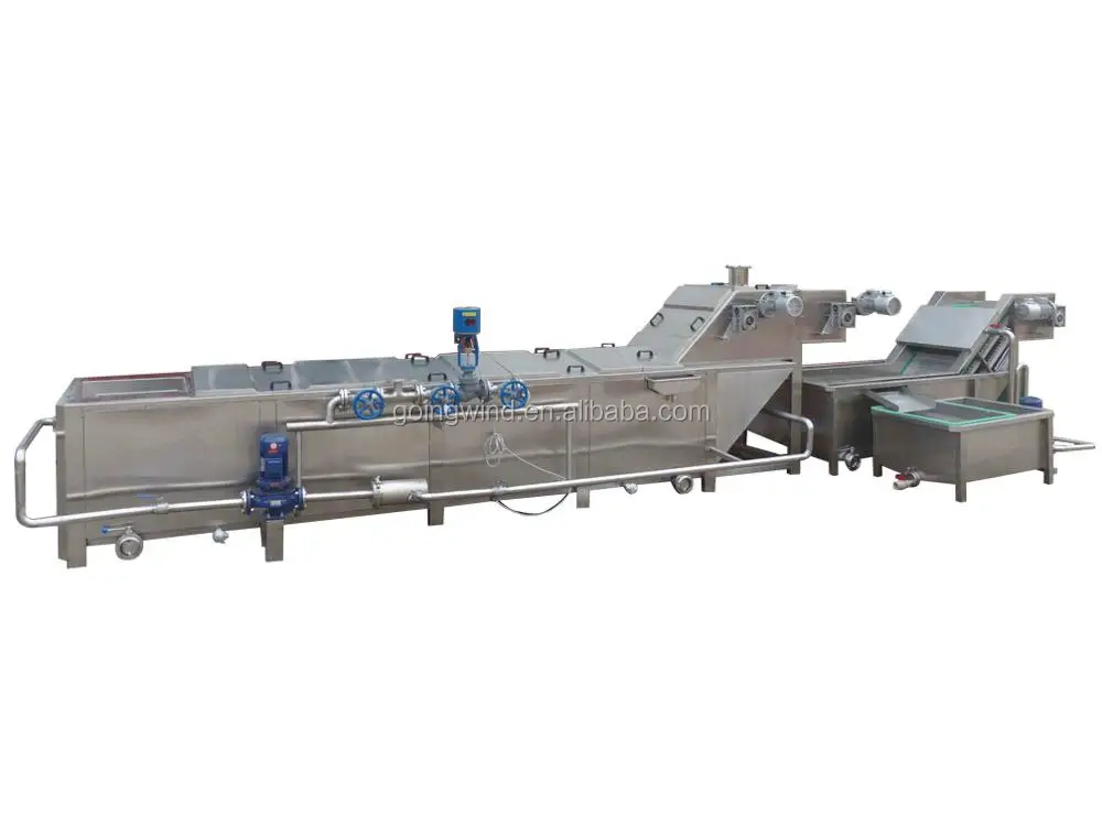 Automatic Dried Fruit And Vegetable Production Line Dehydrated Dry Fruits Vegetables Chips Dice ...