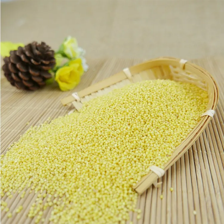 2022 Crop Hulled Yellow Glutinous Millet Sticky Millet - Buy High ...