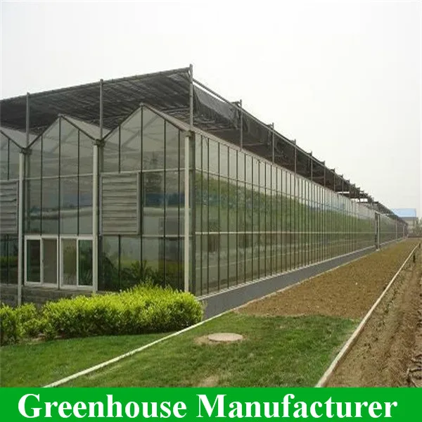 Modern Venlo Greenhouse Outdoor Polycarbonate Greenhouse Multi-Span ...