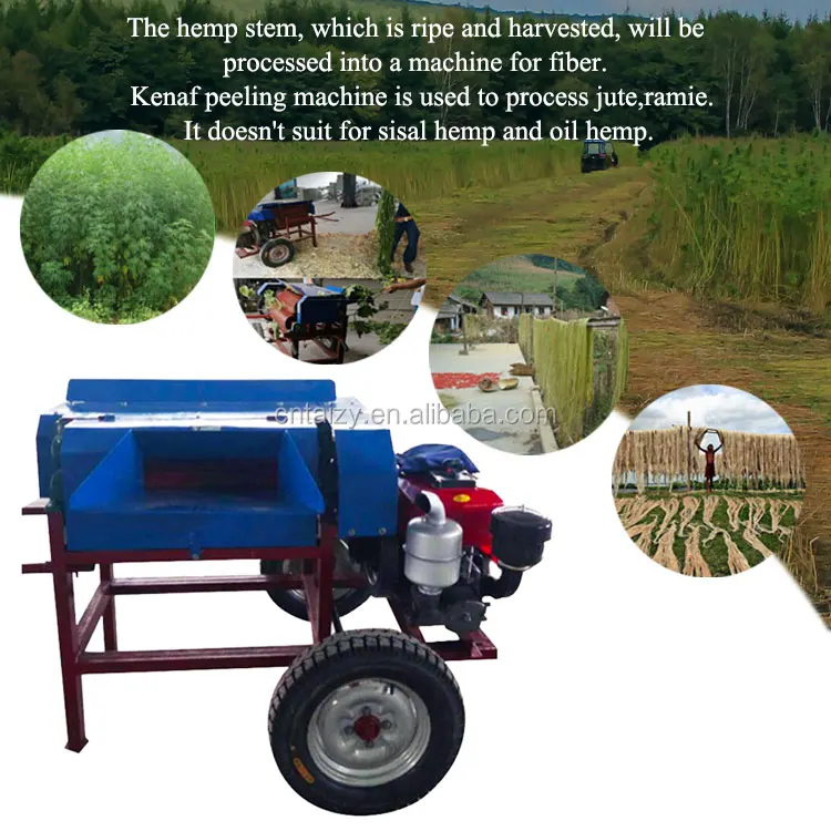 Manila Hemp Decorticator - High Efficiency Fiber Extraction