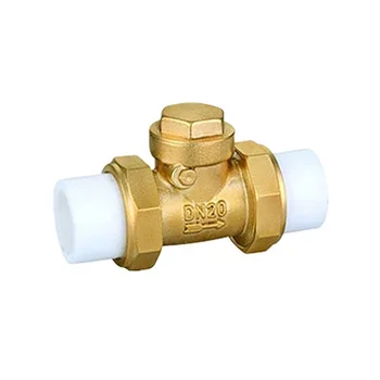 Dn25 Non Return Valve With Ppr Fittings Union Check Valve - Buy Dn25 ...
