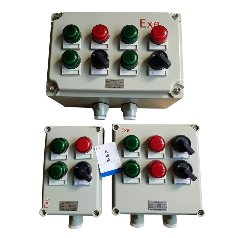 Electrical Explosion Proof Lighting Switch Boxes 0609