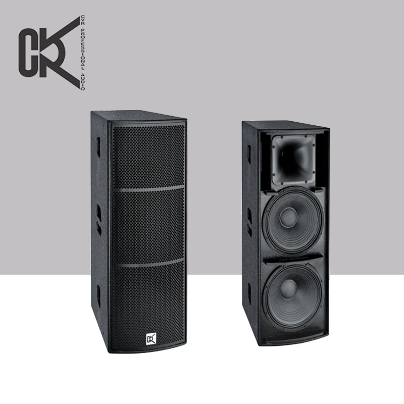 Dual 12 Inch Full Range PA System - Outdoor Wholesale Speaker
