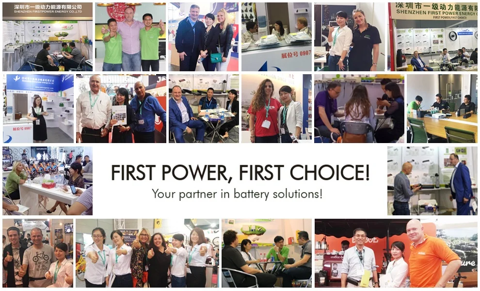 Shanshan Electric Bicycle Battery Rear Rack Battery 36v 48v 10ah 15ah ...