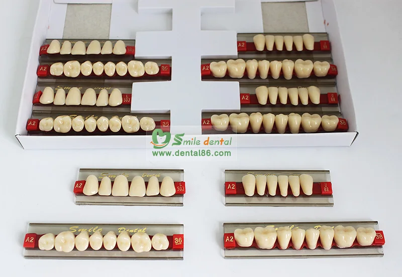 Oem Full Mouth Two Layer Denture Teeth - Buy Denture Teeth,False ...